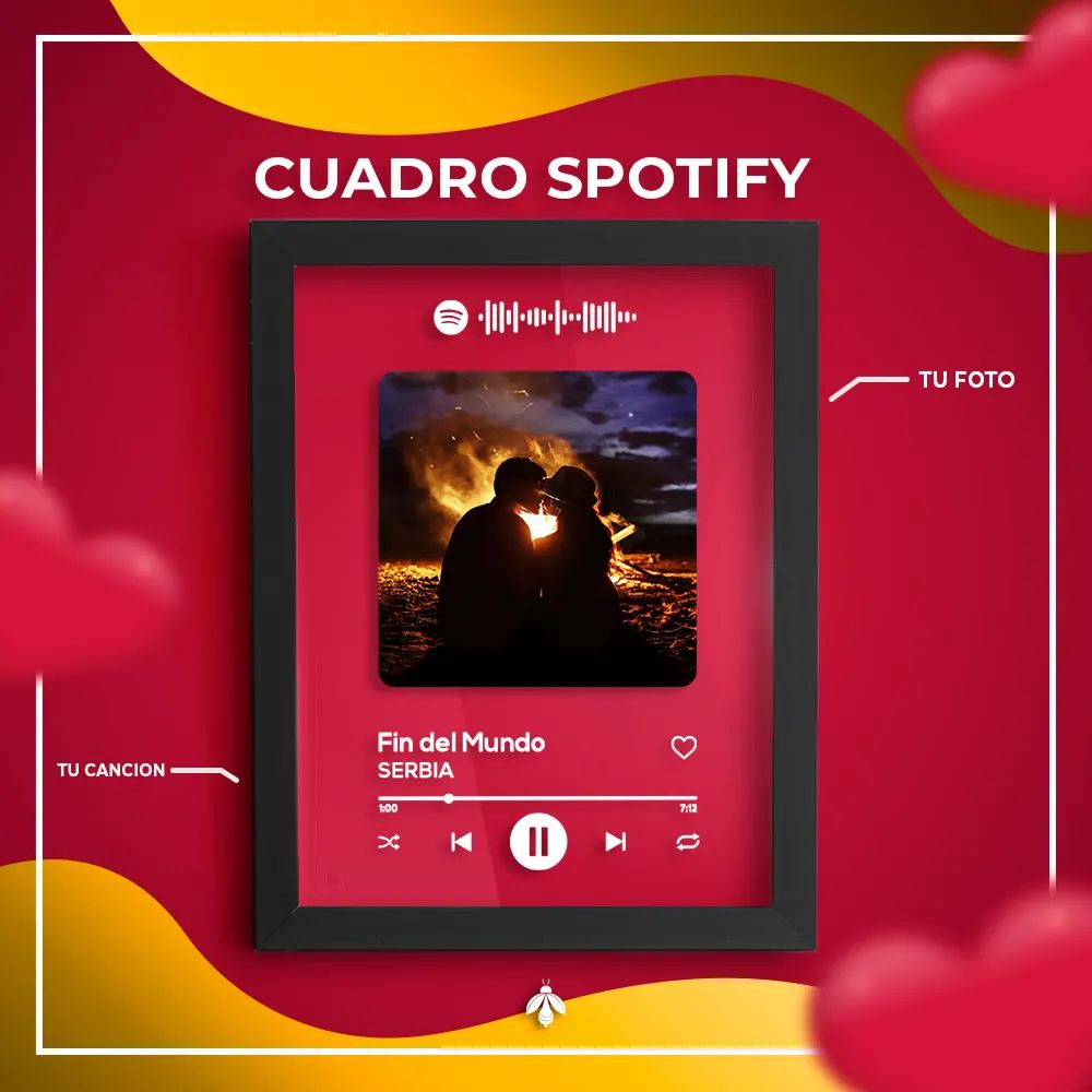 Cuadro de Spotify - disinkpublicidad - LolaPay