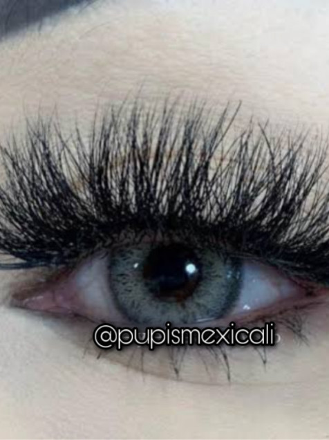 Rome Gray - Pupismexicali - LolaPay