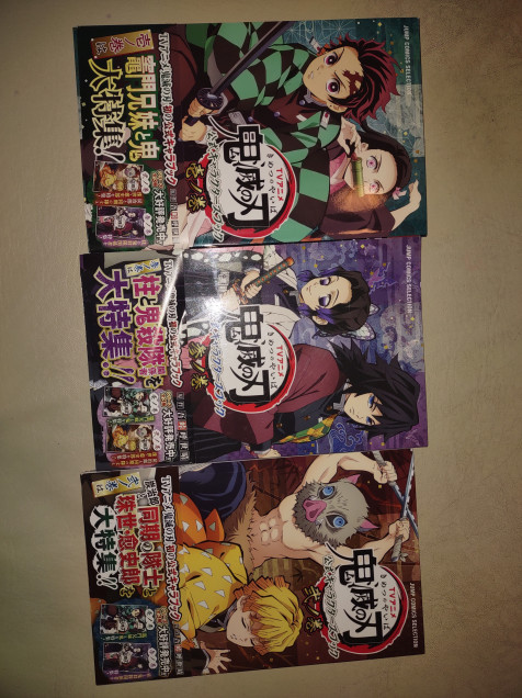 Guide Book Demon Slayer Completa 3 Tomos - SuugakuMagasin - LolaPay